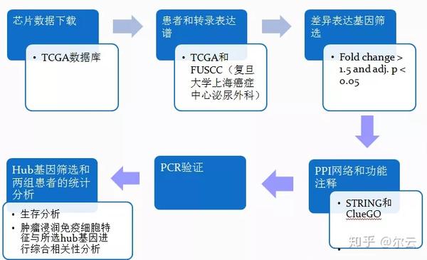 【尔云间】免疫浸润+COX模型+常规生信分析=5分！！！ - 知乎