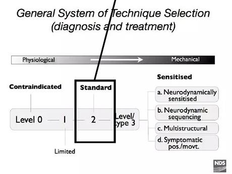 分享课程 | Neurodynamic Solutions 神经动力学 - 知乎