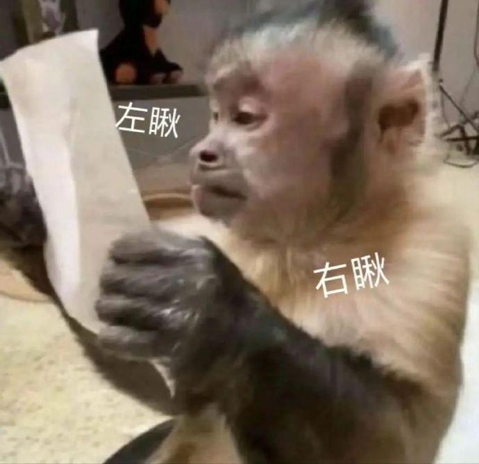 这个猴子的表情包谁有呀? - 知乎