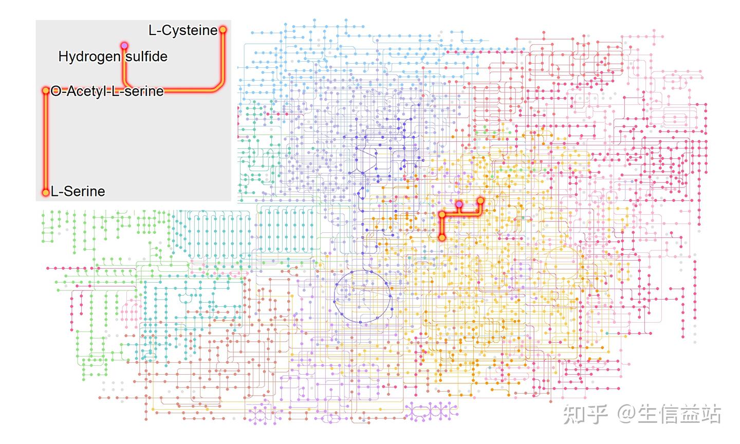 玩转KEGG (三)——遥遥领先pathview！ ggkegg可视化KEGG通路、模块与网络 - 知乎
