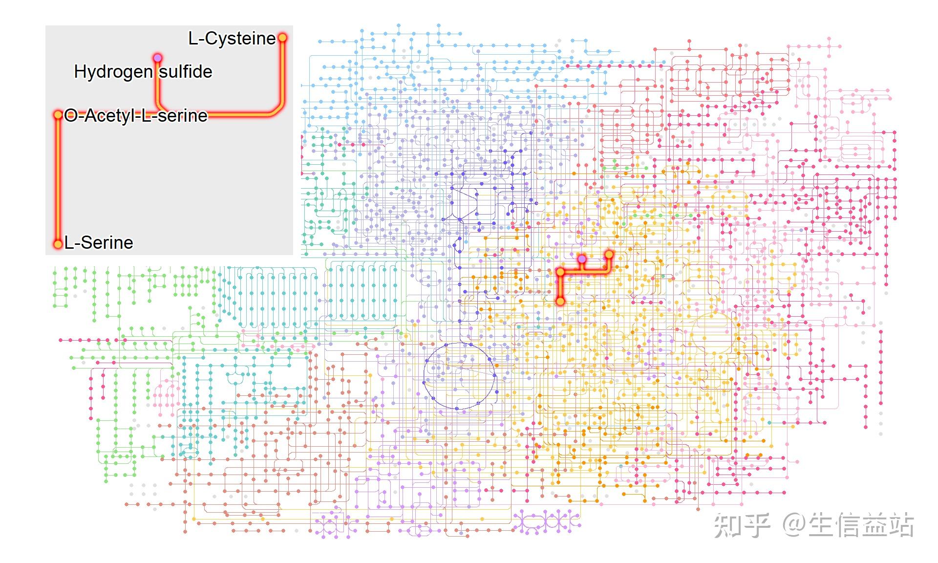 玩转KEGG (三)——遥遥领先pathview！ ggkegg可视化KEGG通路、模块与网络 - 知乎