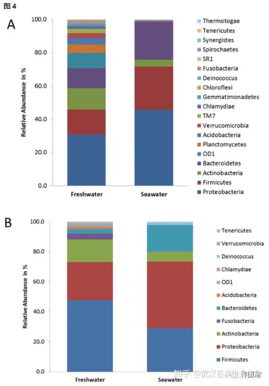 在线作图|在线做Metastats组间差异分析 - 知乎