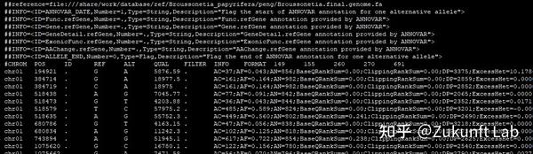 混池测序(Pool-Seq)Fst分析 - 知乎
