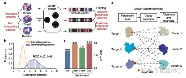 论文笔记26|Deciphering interaction fingerprints from protein molecular surfaces using geometric ...