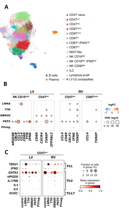 Science|单细胞测序为“心力衰竭”提供潜在治疗方案 - 知乎