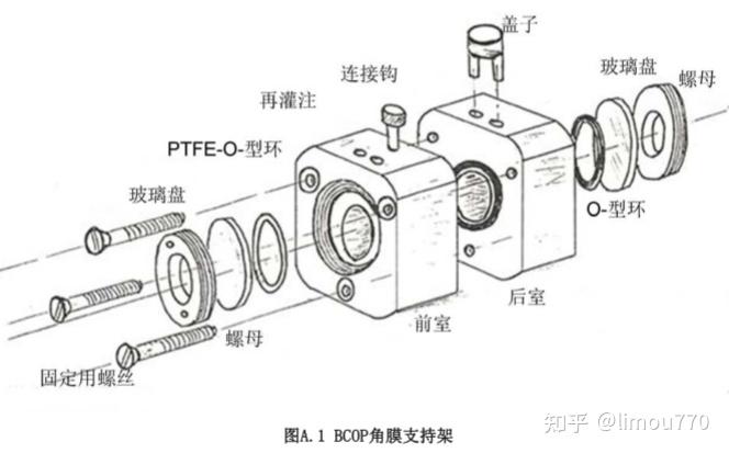 化妆品BCOP牛角膜混浊通透性测试BCOP报告 - 知乎