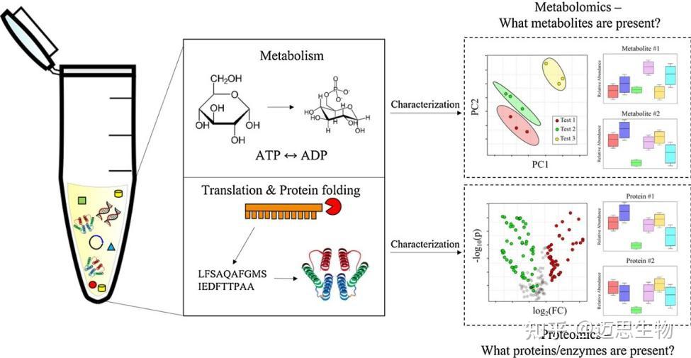 重组表达服务：无细胞表达系统 - 知乎