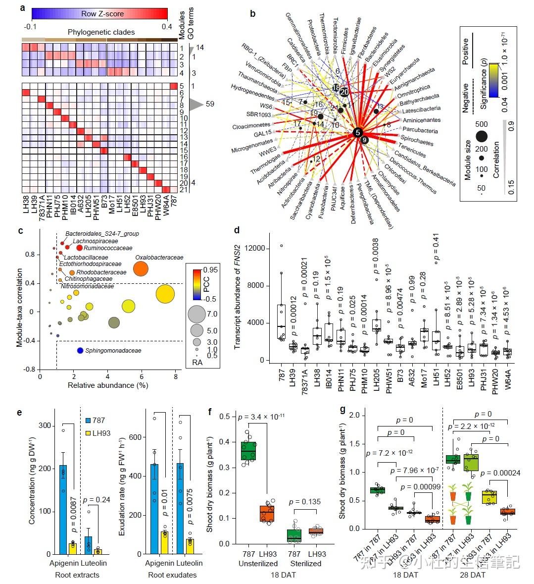 跟着Nature Plants做WGCNA数据分析 | 与我们的前面的分析使用代码基本一致 - 知乎
