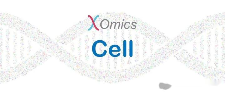 Mol Cell｜多组学分析揭示了锌指蛋白在 RNA 调控中的作用 - 知乎