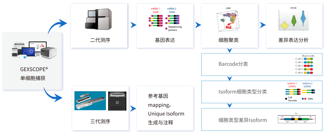 新品发布 单细胞转录组二代 三代测序解决方案 知乎