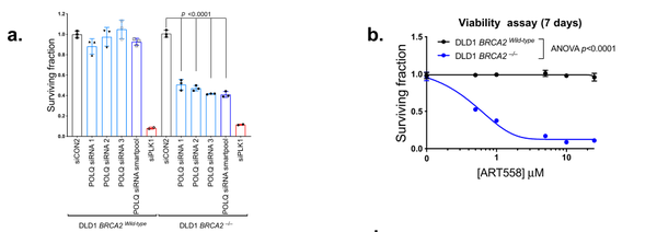 Polθ抑制剂在合成致死中的应用 - 知乎