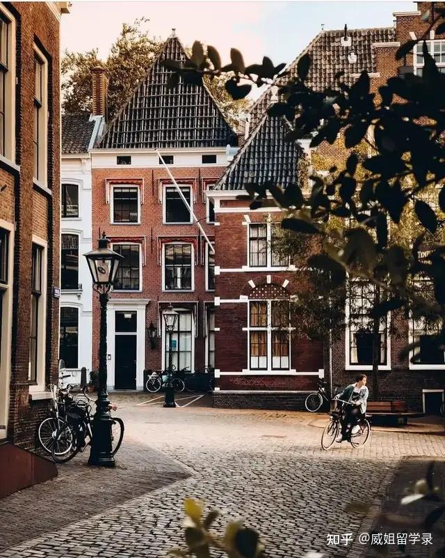 高考后想去荷兰留学吗？专业如何选择？ - 知乎