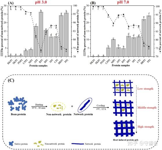 Food Research International：比较研究12 种豆类蛋白质热诱导凝胶特性的差异 - 知乎