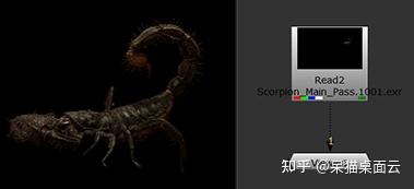 Nuke合成如何使用Cryptomatte键控? - 知乎