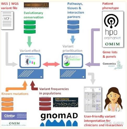 Alamut Visual Plus 的错义软件预测——Align GVGD, CADD, MutatuonTaster, PolyPhen2 ...