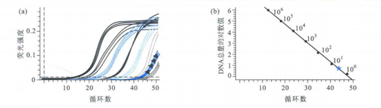 【星耀小课堂】一文全知道|实时定量PCR（qPCR）技术原理解析 - 知乎