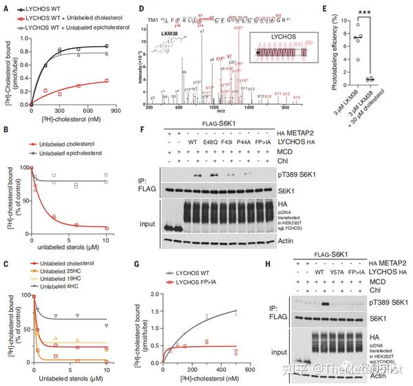 代谢学人--Science：LYCHOS--胆固醇的神秘感受器 - 知乎