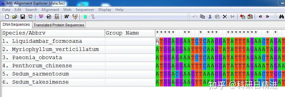 实用干货教程！学会用PAML计算选择压力 - 知乎