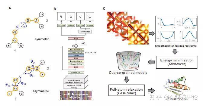DeepMind开源AlphaFold，蛋白质预测模型登上《Nature》 - 知乎