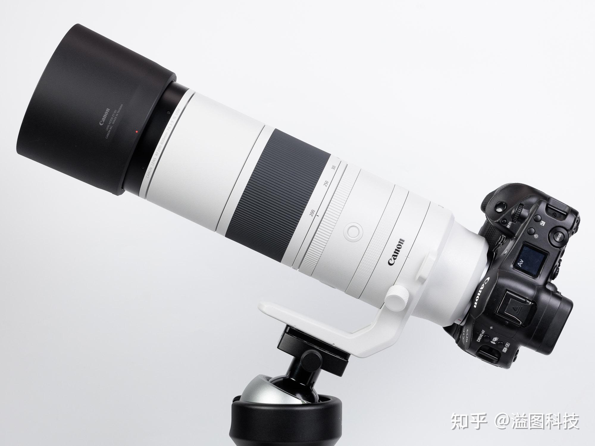 拍鸟新选择 佳能RF200-800mm深度体验 - 知乎