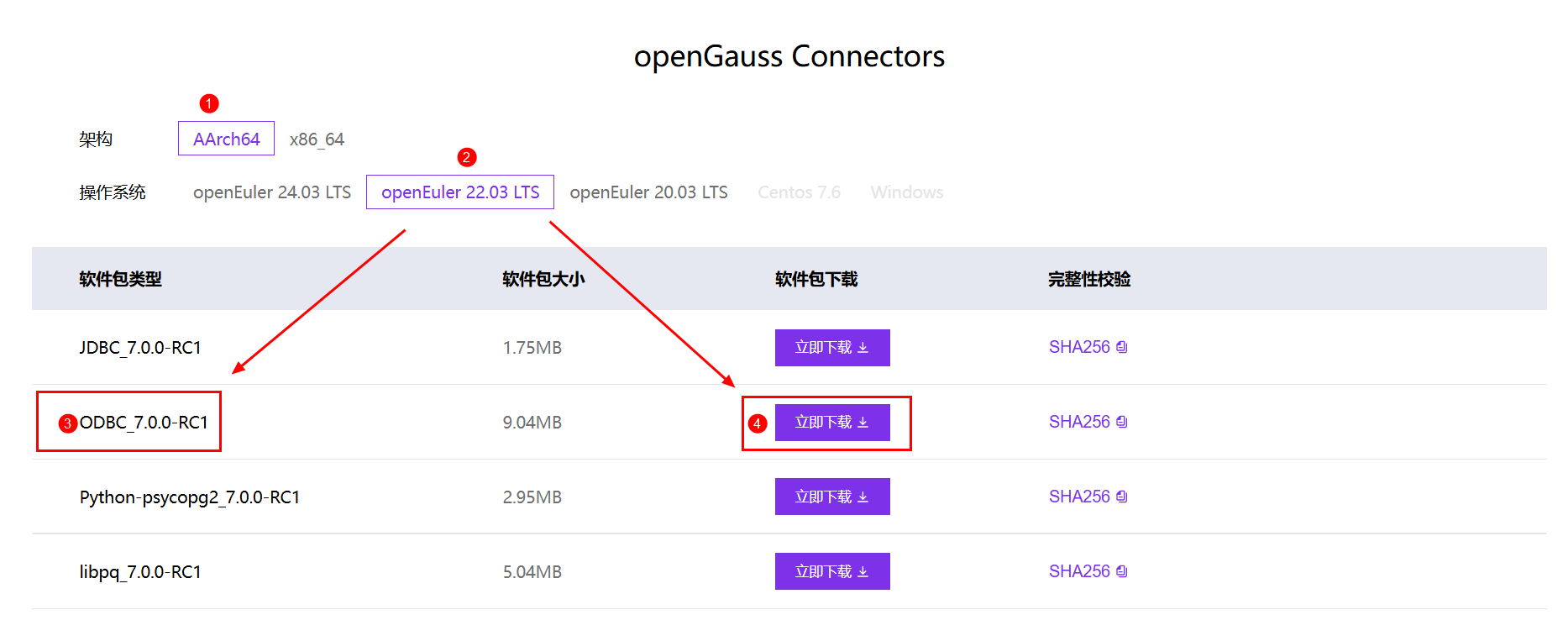 基于开发者空间编写ODBC应用程序操作OpenGauss数据库 - 知乎