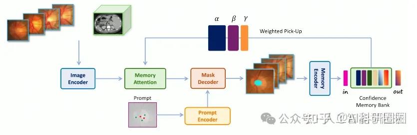 最强发文神器：SAM+医学图像分割！秒锁Nature！ - 知乎