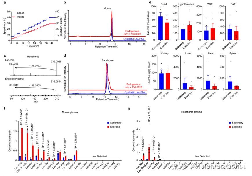 代谢学人——Nature: 运动诱导Lac-Phe，让你吃得少又苗条 - 知乎