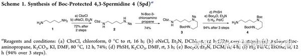 JACS：多肽Paenilamicins的全合成及生物活性研究 - 知乎