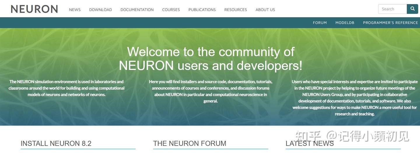 初次使用NEURON软件的问题与吐槽 - 知乎