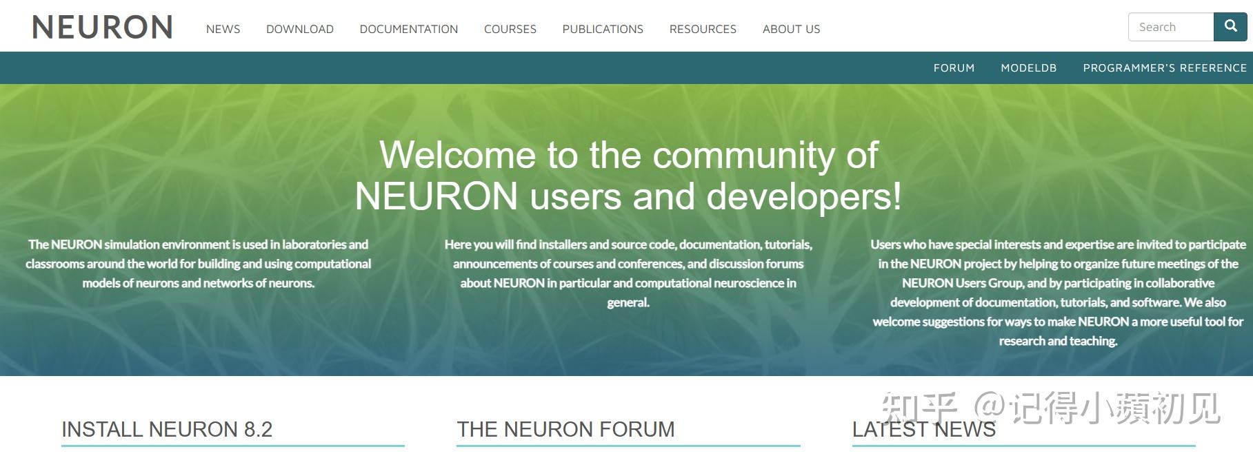 初次使用NEURON软件的问题与吐槽 - 知乎