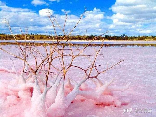 超全色号，一网打尽澳大利亚粉红湖！收藏起来，慢慢去 - 知乎