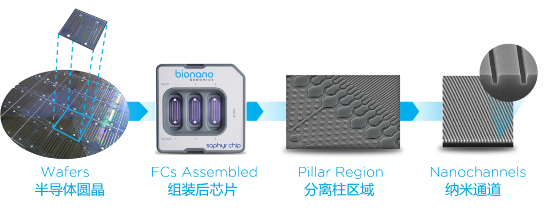 Bionano全基因组光学图谱技术-遗传病检测应用 - 知乎