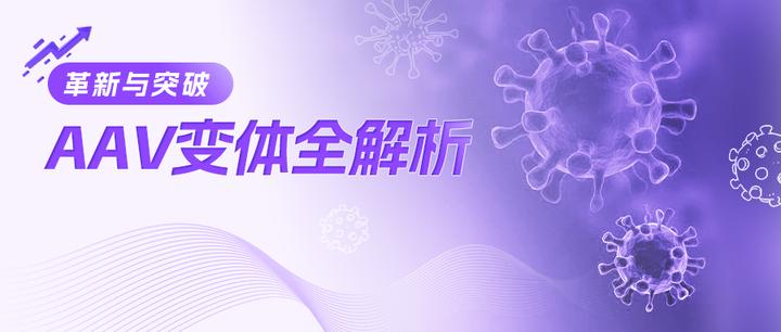 革新与突破——AAV腺相关病毒突变体揭秘 - 知乎