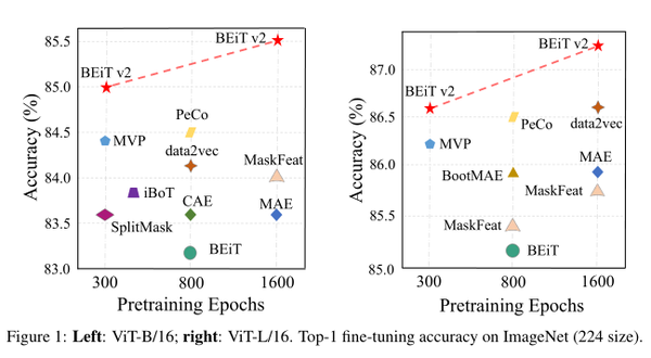 超越所有MIM模型的BEiT v2来了！微软使用矢量量化视觉Tokenizers的掩码图像建模！ - 知乎