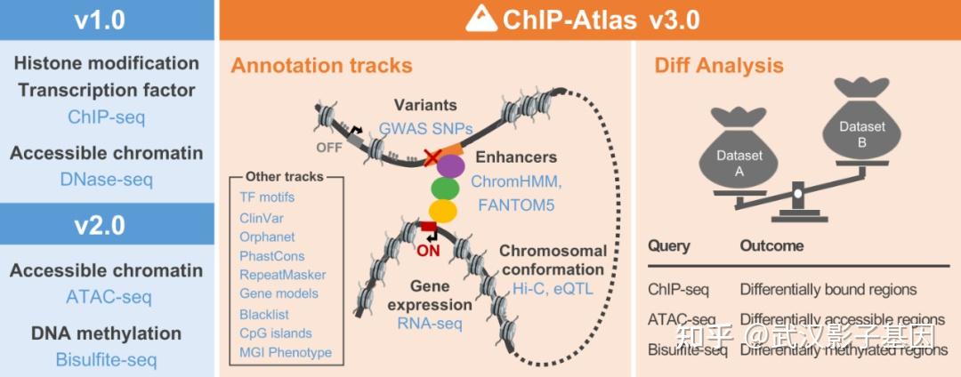 ChIP-Atlas 3.0 挖掘转录调控机制景观的利器 - 知乎