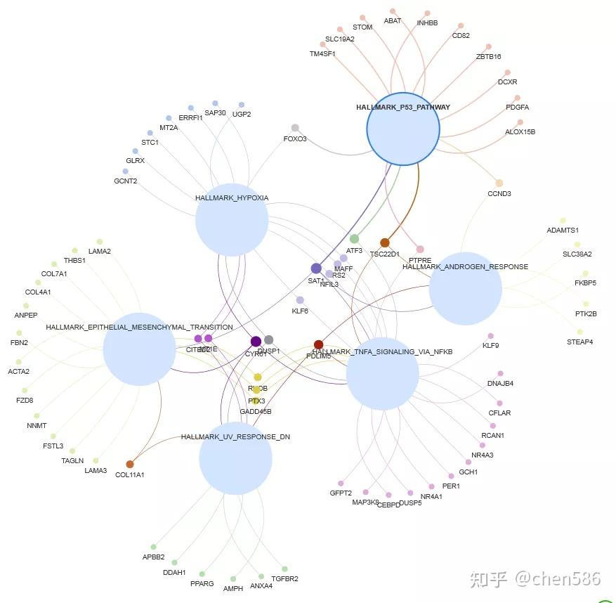 Venn网络展示富集分析结果 - 知乎