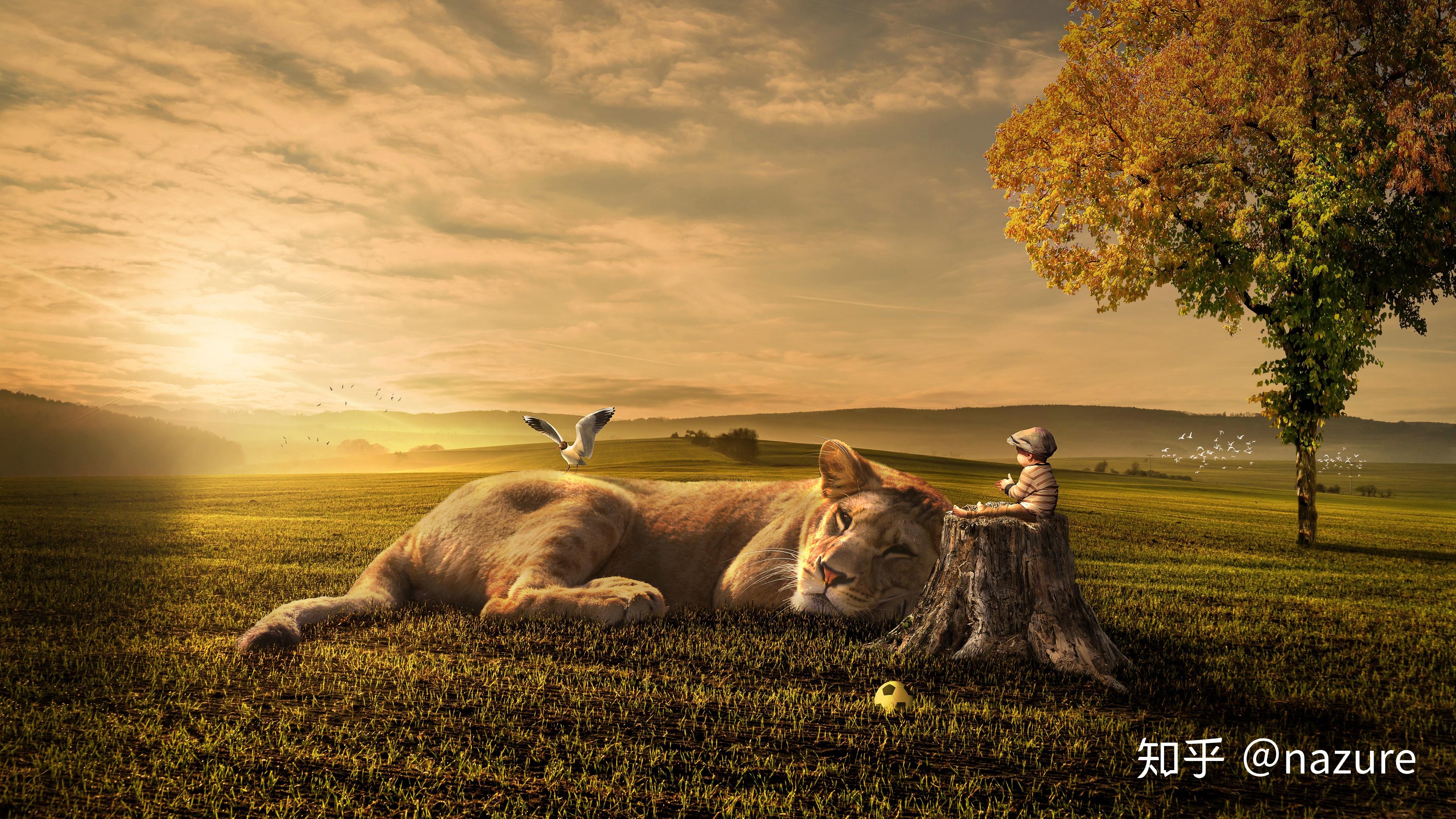 4k电脑壁纸分享，注意高能！！！ - 知乎