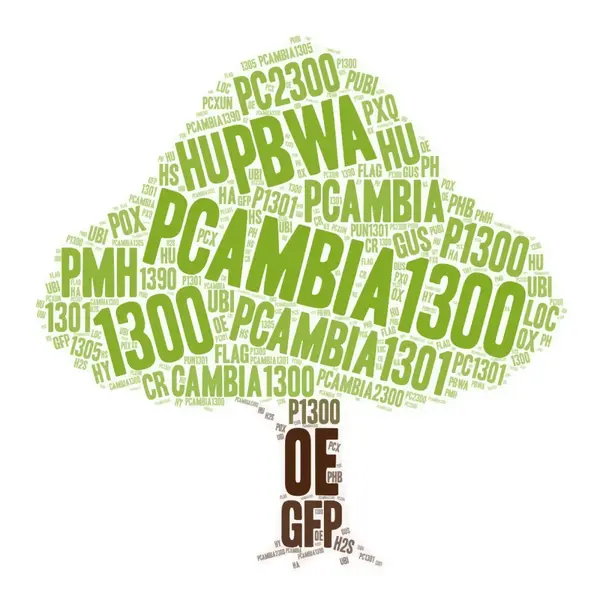 一文解决80%的双元载体问题 - 知乎