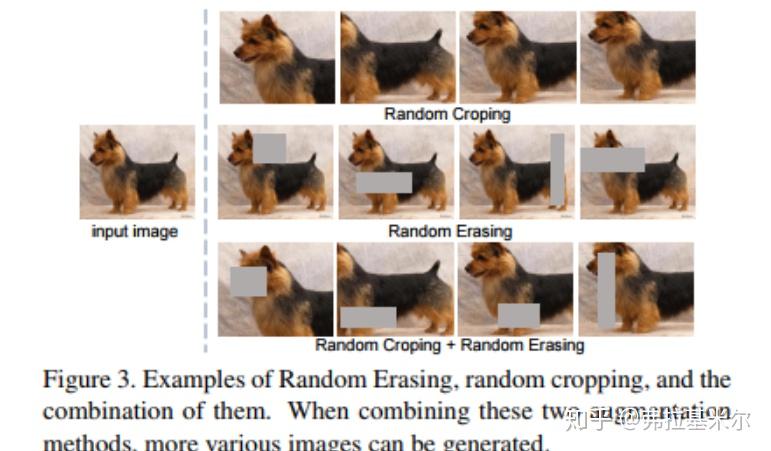 论文笔记——Random Erasing Data Augmentation - 知乎