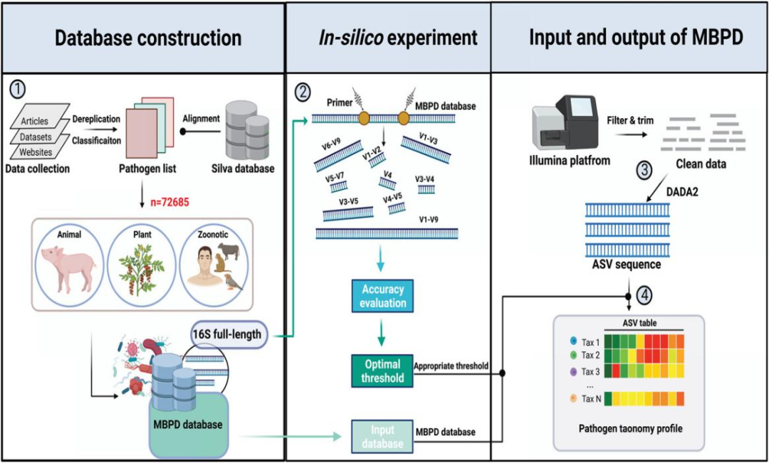 MBPD：多种病原细菌检测流程，守护健康，科学预防！ - 知乎