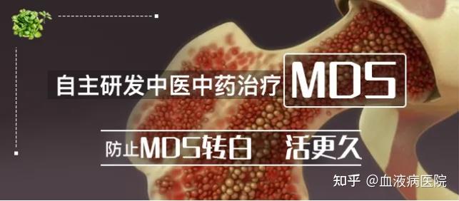 为什么MDS久治不好？反复？易转白？甚至危及生命？……答案在这里！ - 知乎