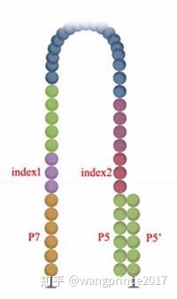 illumina 双端测序（pair end） - 知乎