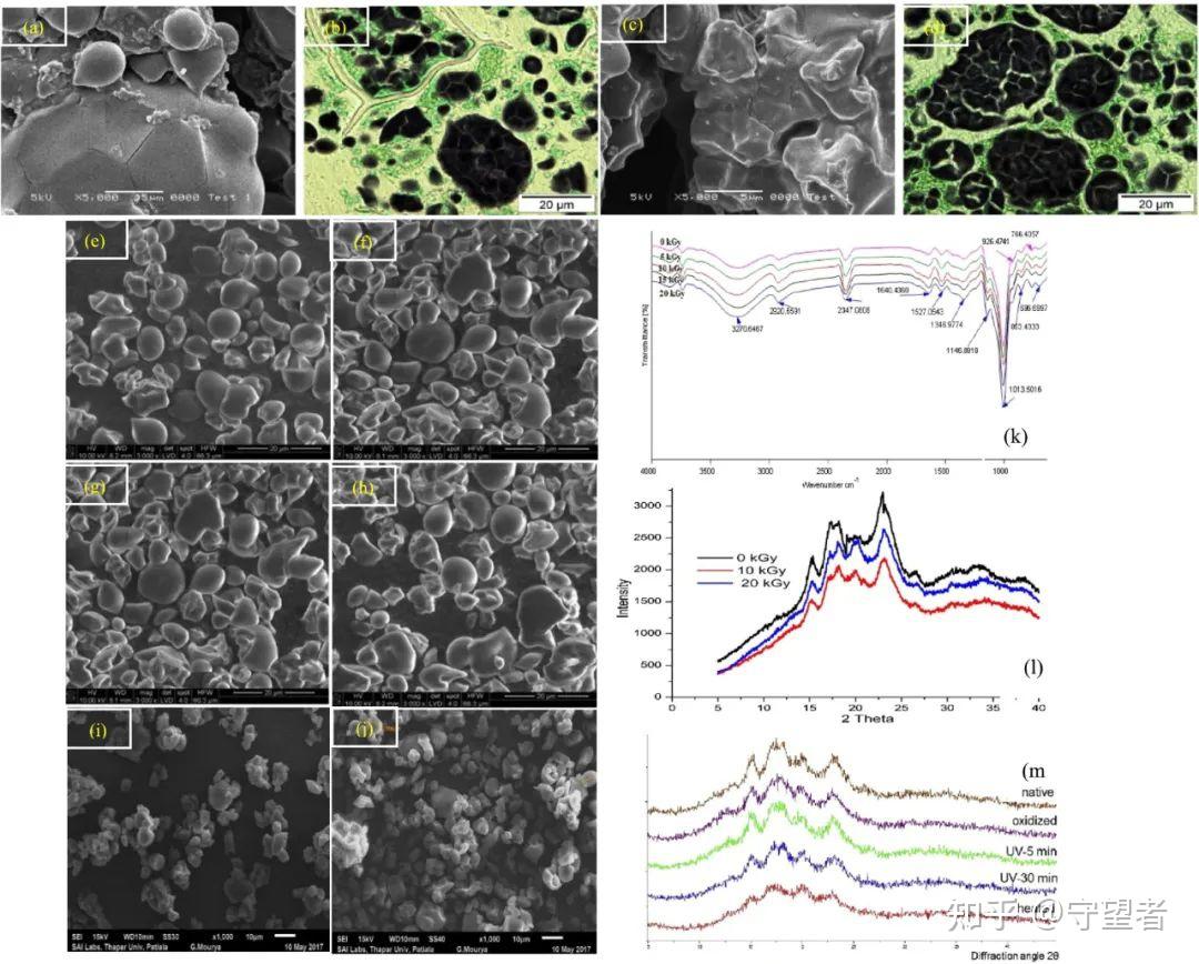Carbohydrate Polymers：物理和化学修饰如何影响燕麦淀粉的理化特性和消化性 - 知乎