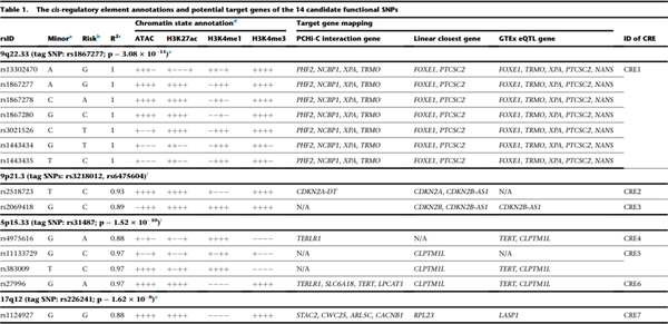 AJHG项目文章丨中山大学肿瘤防治中心贾卫华团队揭示鼻咽癌易感基因的调控元件及功能机制 - 知乎