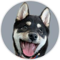 ASL语言学习（2）- Debug，常用操作符 - 知乎