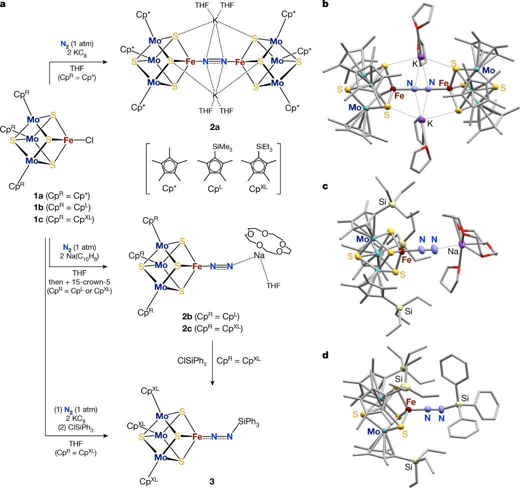 不可错过！N₂还原今日Nature，这种金属位点值得关注 - 知乎