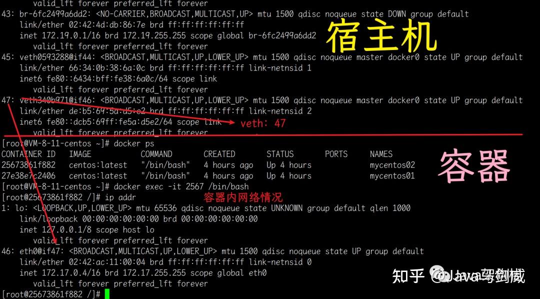 Docker中的bridge模式，你可以这样设置！ - 知乎