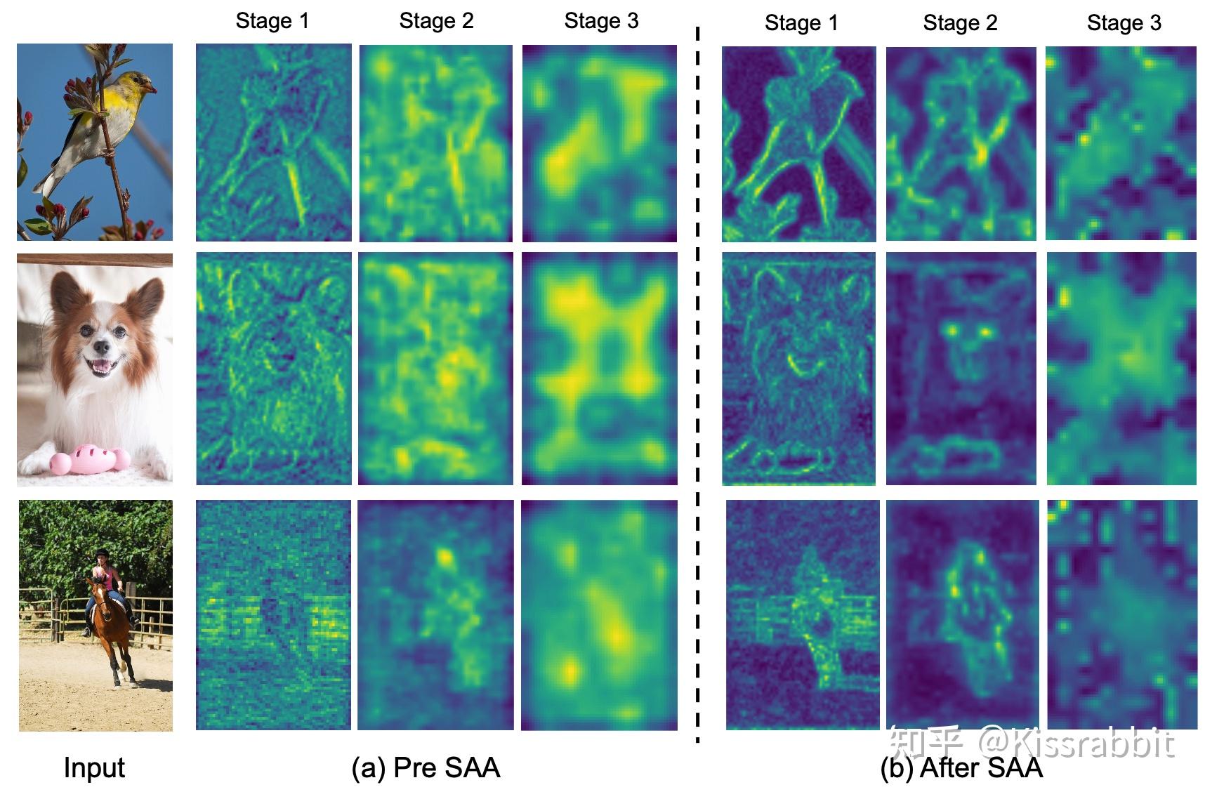 《视觉Backbone探索》-第1章-浅析Scale-aware Modulations - 知乎