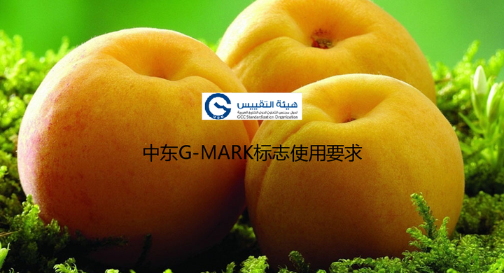 中东GCC---G-Mark标志有哪些要求？比如尺寸大小 - 知乎