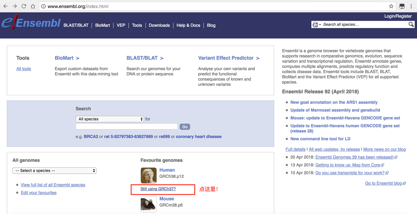 生物信息学100个基础问题 —— 第25题 GTF/GFF的注释是怎么来的，应该从哪里下载？ - 知乎